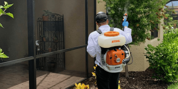 How to Find The Best Pest Control Sarasota Fl. - Prodigy Pest Solutions