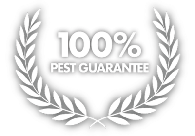 Bradenton - We Know Florida Pest Control