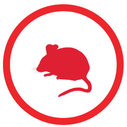 SERVICES - Prodigy Pest Solutions