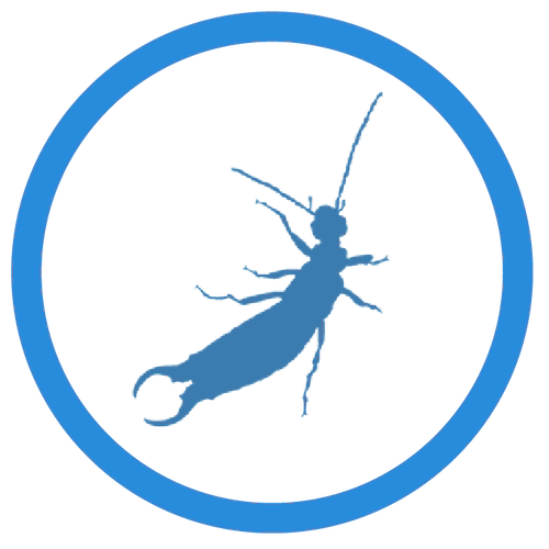 Pest Control in Bradenton, FL - Prodigy Pest Solutions